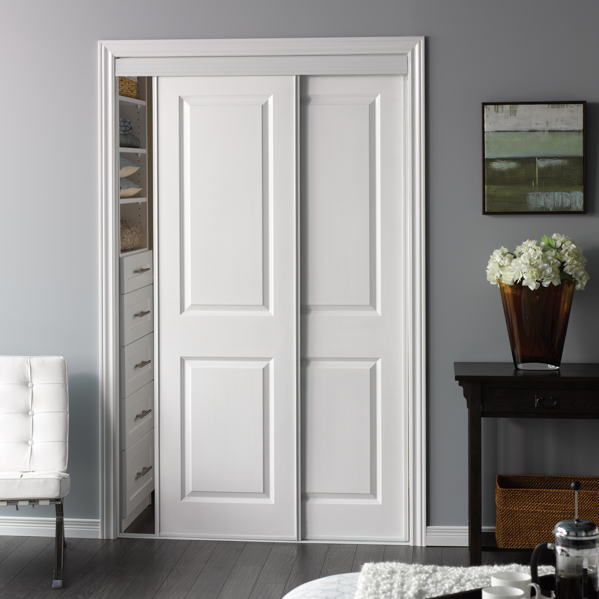 Ashbury 2 Panel Design Steel Frame Bypass Door Renin
